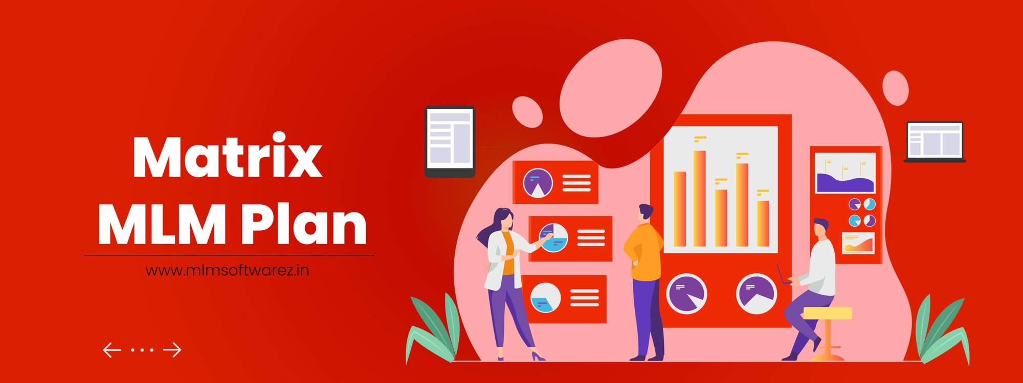 Matrix MLM Software | MLM Software For Matrix Plan